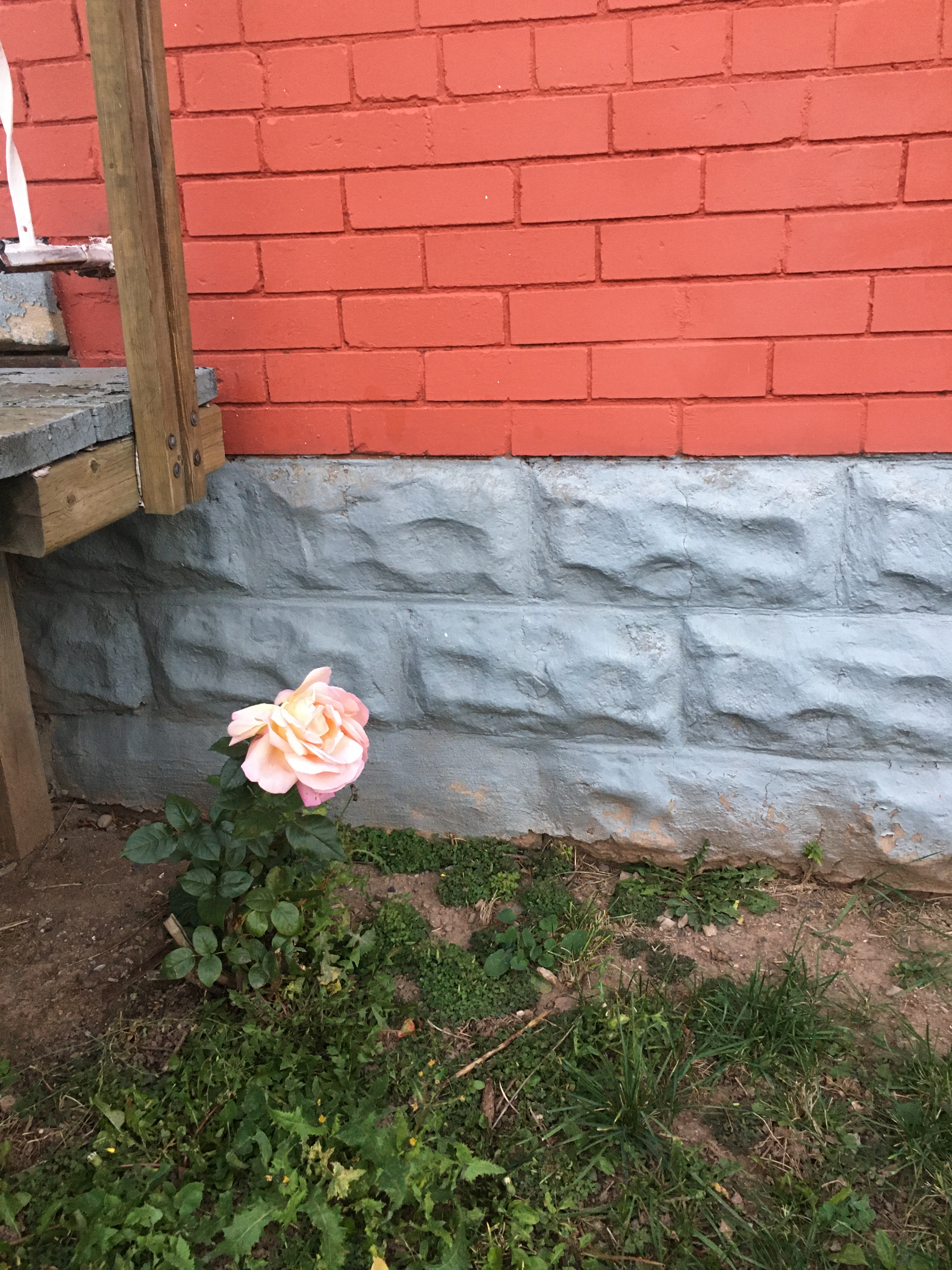Performances – Allyson Proulx